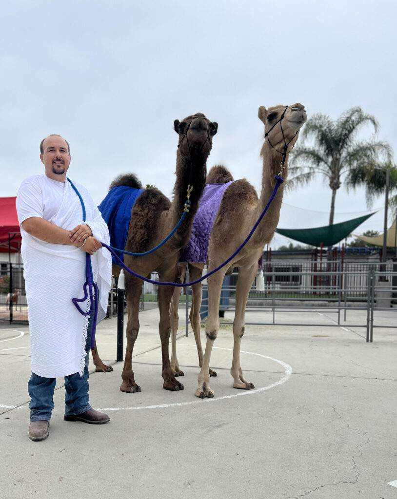 Celebrating Eid with Camels & Mobile Petting Zoo 2026